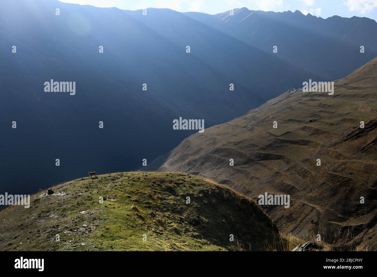 Kvavlo hi-res stock photography and images - Alamy