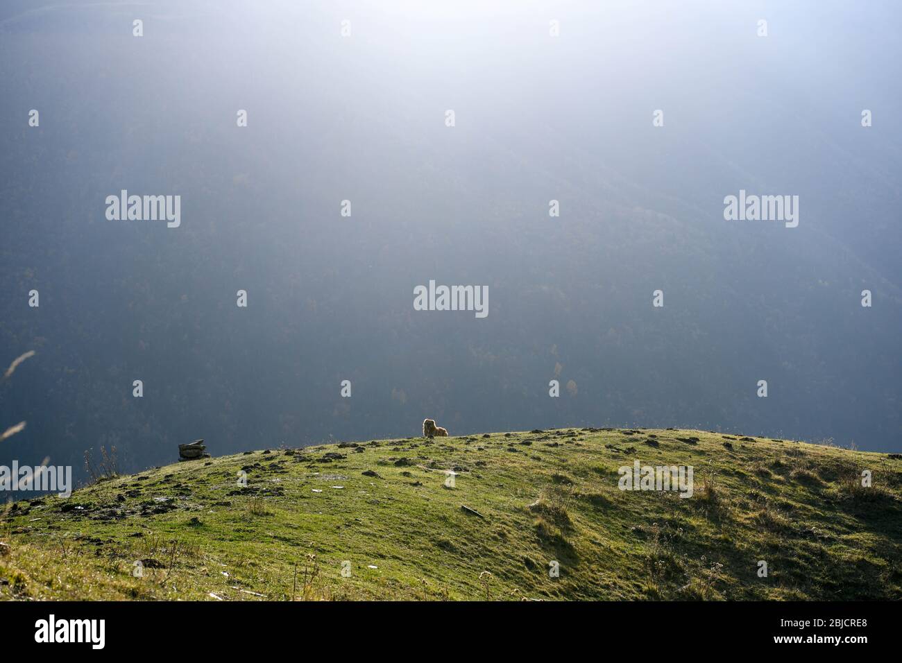 Kvavlo hi-res stock photography and images - Alamy