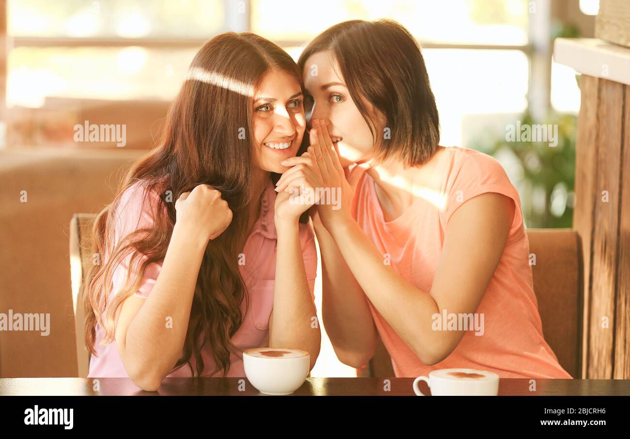 Cheerful young women gossiping in cafe while drinking coffee Stock ...