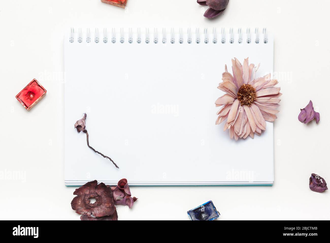 Open blank notepad with dried flowers and watercolor paint pots on ...