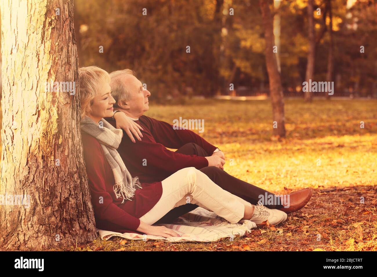 Couple sitting under tree hi-res stock photography and images - Alamy