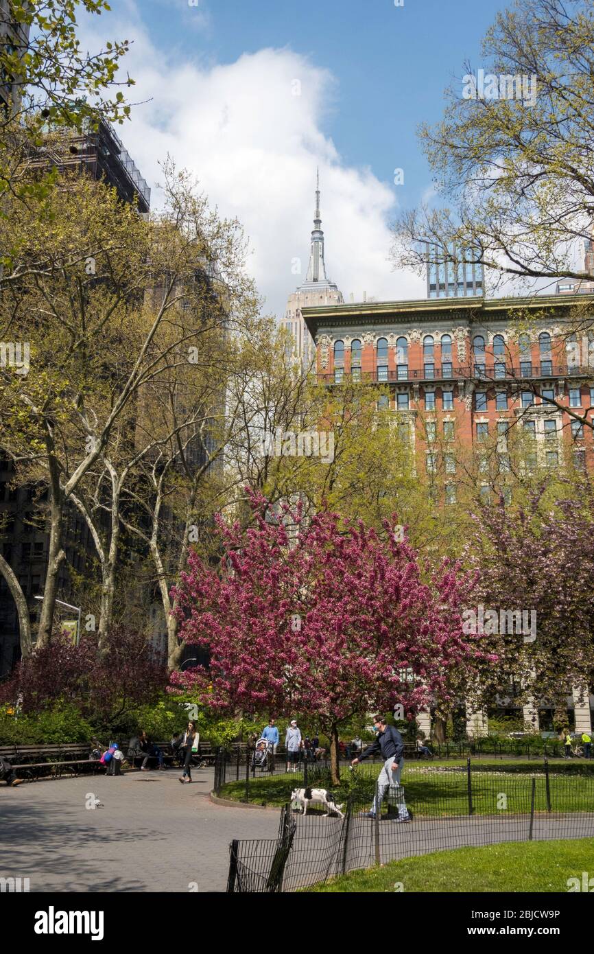Madison Square Park in Springtime with the Empire State Building in ...