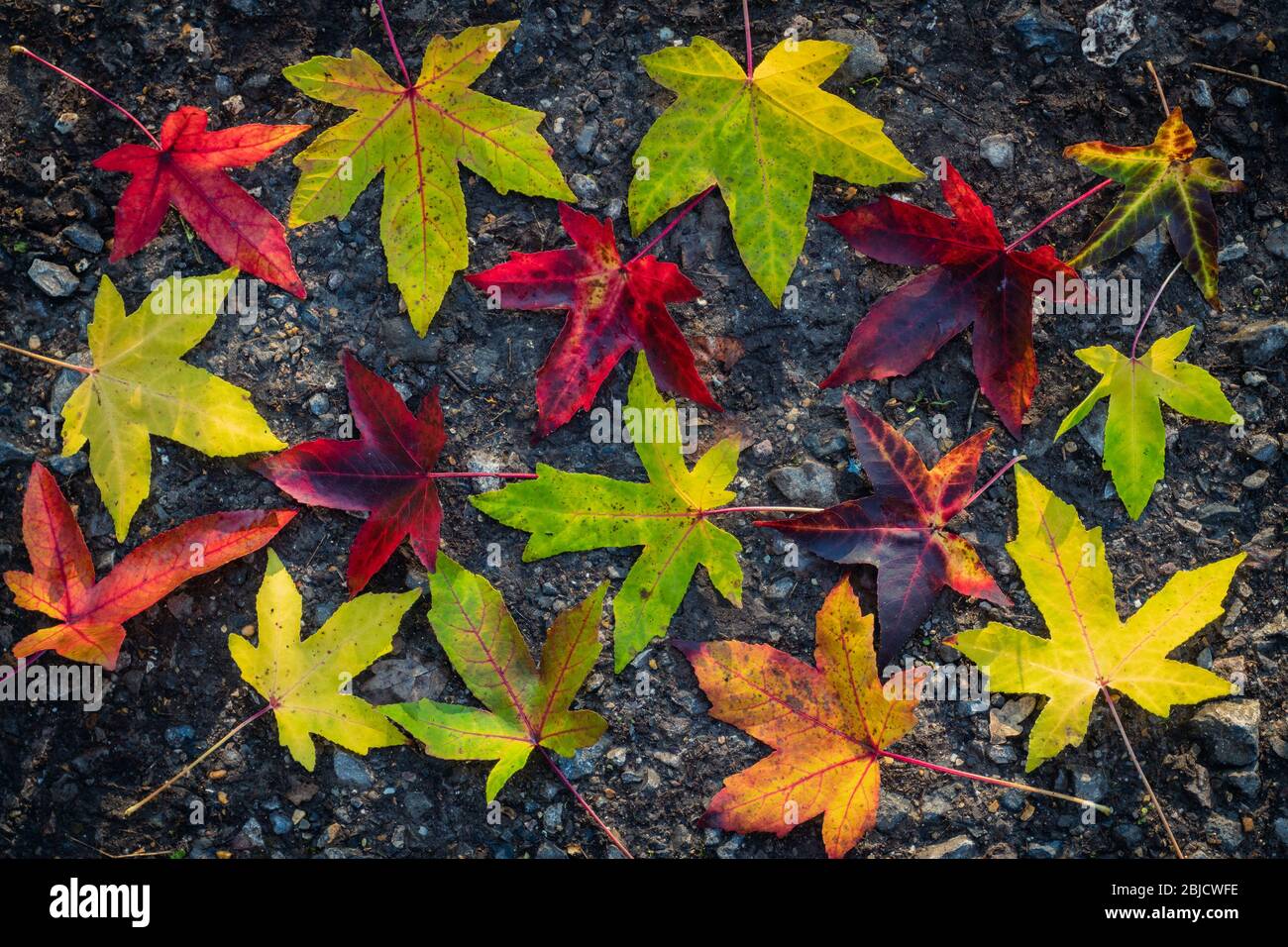 Beautiful natural colours hi-res stock photography and images - Alamy
