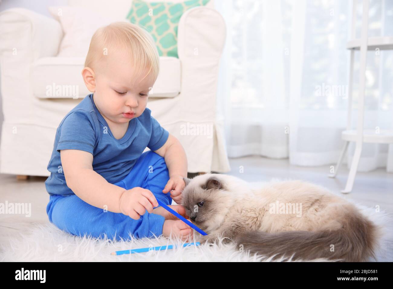 Cute little boy with fluffy cat on floor Stock Photo - Alamy