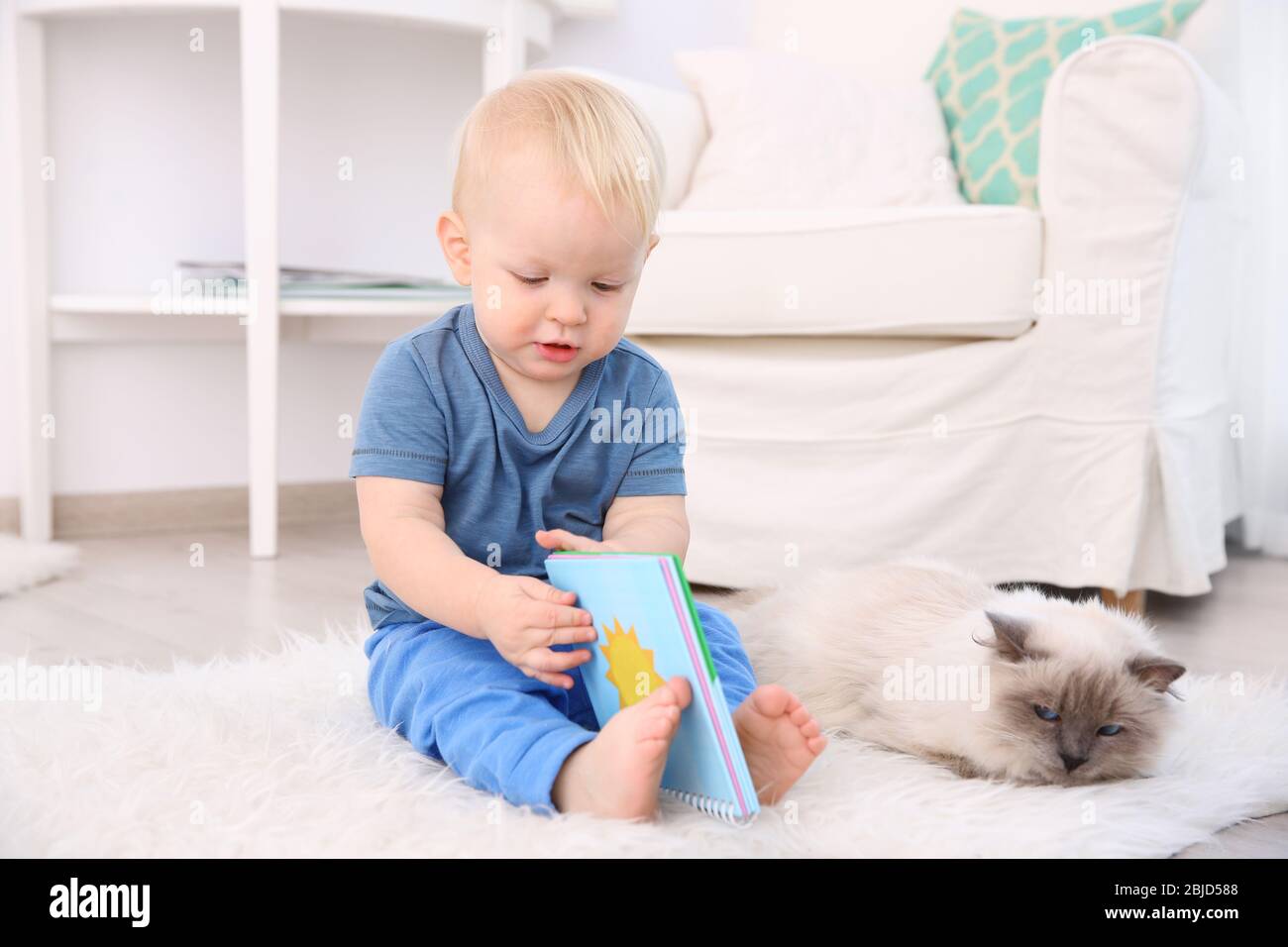 Cute little boy with fluffy cat on floor Stock Photo - Alamy