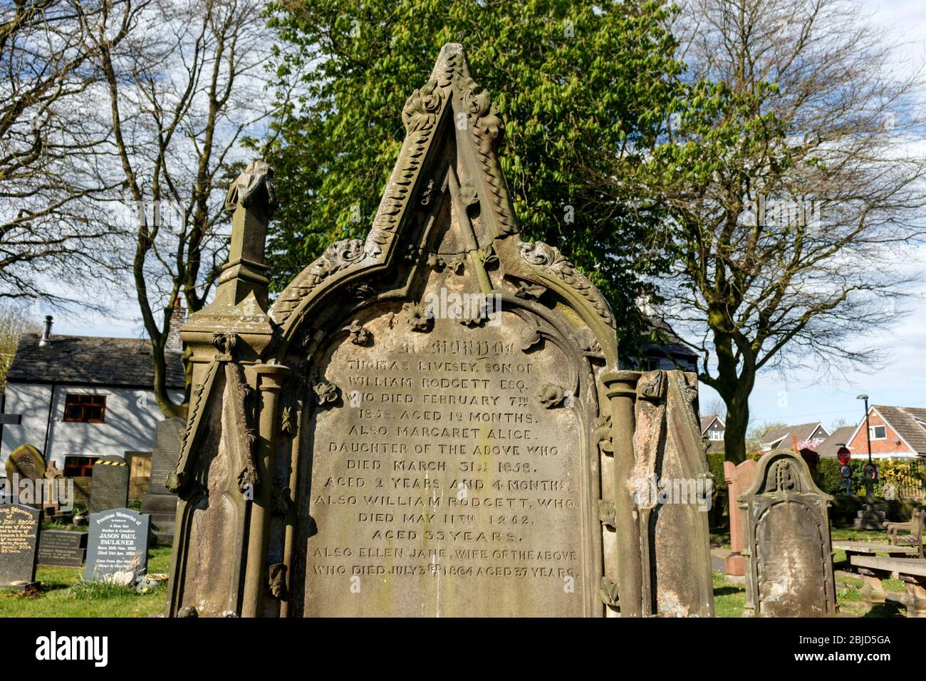 Brindle lancashire hi-res stock photography and images - Alamy