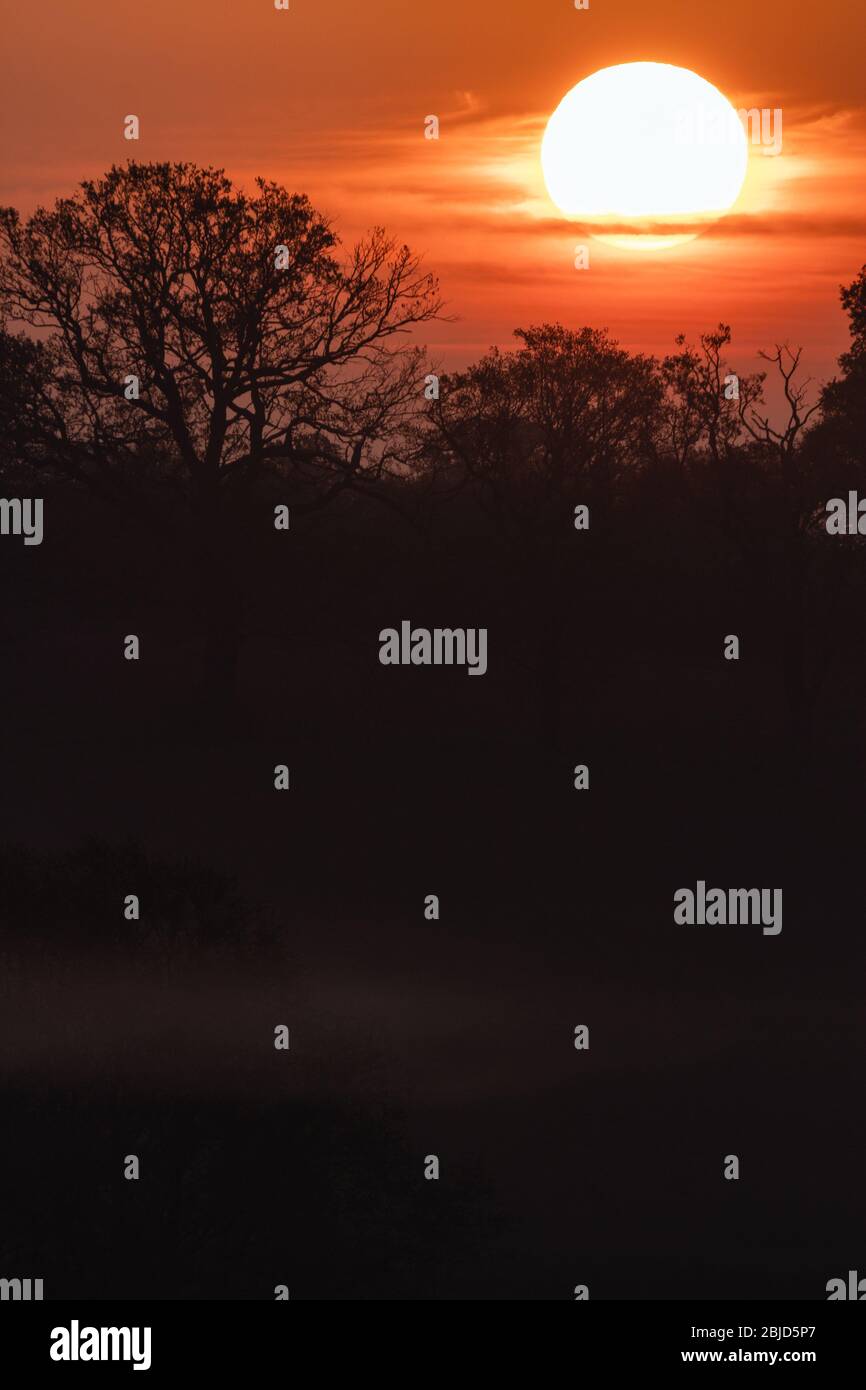 Rising sun picture hi-res stock photography and images - Alamy