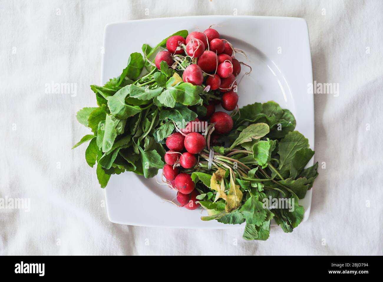 Radish farm hi-res stock photography and images - Alamy