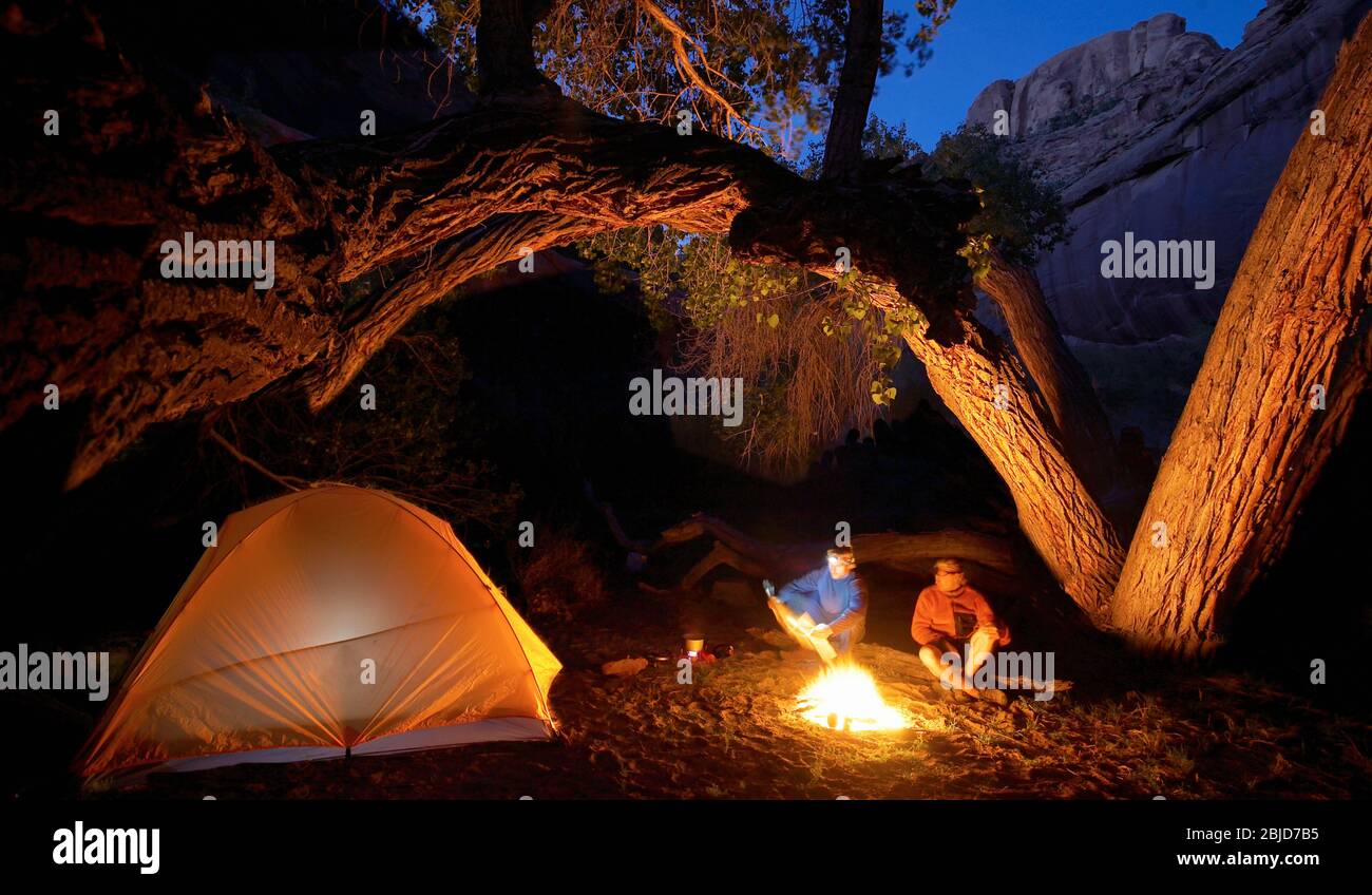 friends are camping under a tree at Escalante national park Stock Photo ...