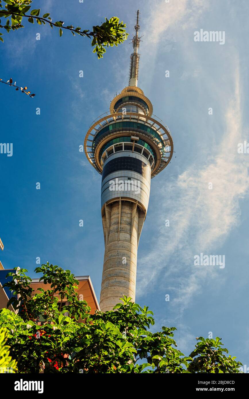 Sky Tower in Auckland, New Zealand Stock Photo - Alamy