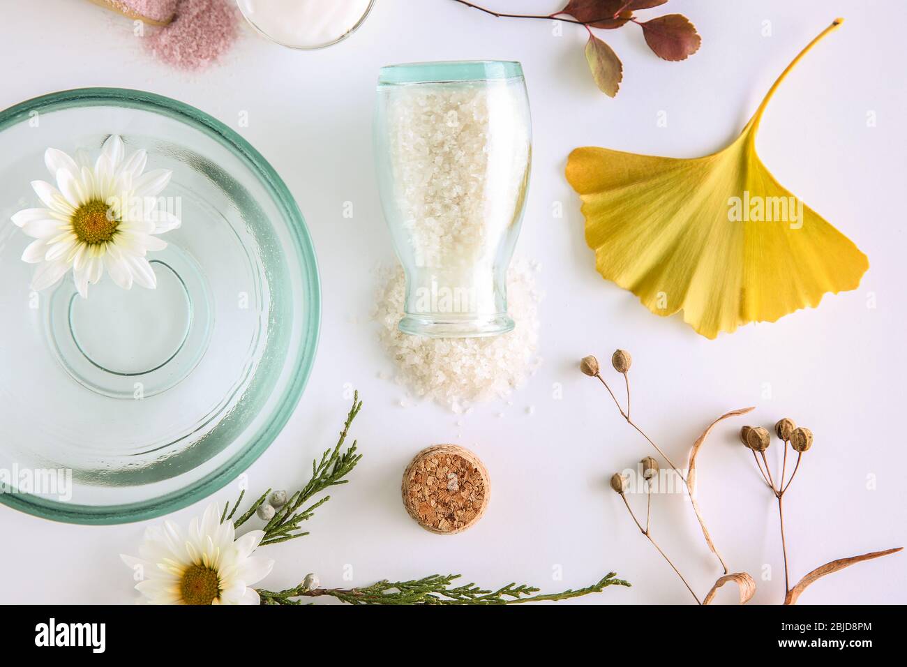 Natural ingredients for homemade cosmetics on white background Stock ...