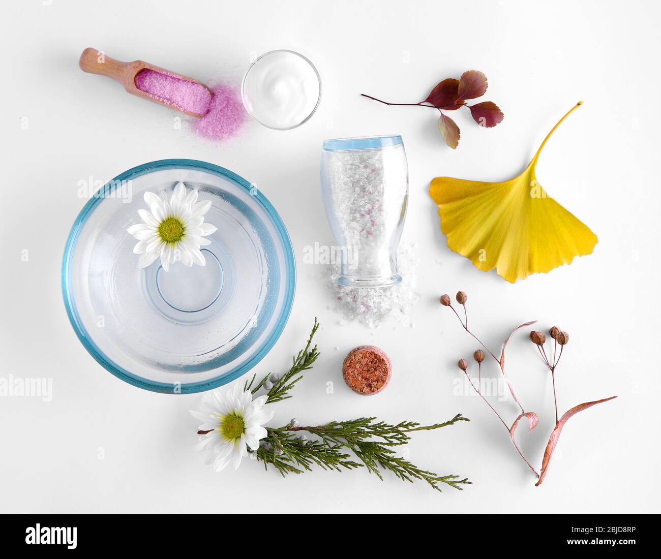 Natural ingredients for homemade cosmetics on white background Stock ...