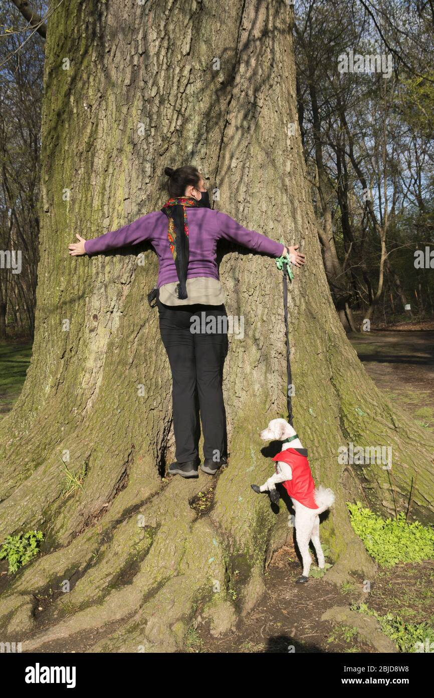 Tree hugger with her dog, Prospect Park, Brooklyn, New York Stock Photo ...