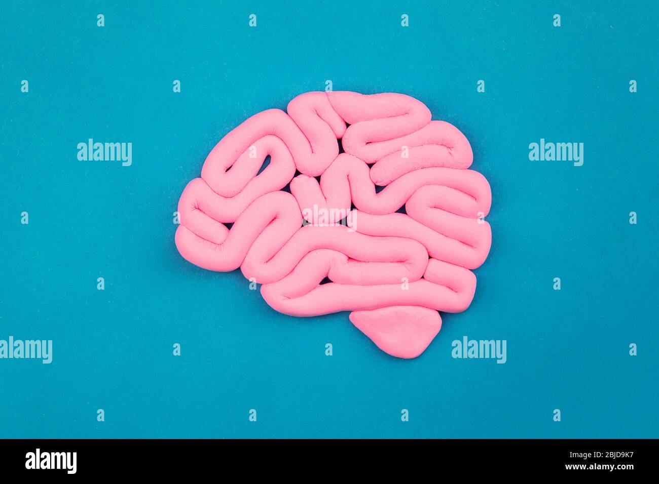Model of pink human brain on blue background. Profile view, flat lay. Intelligence concept Stock ...