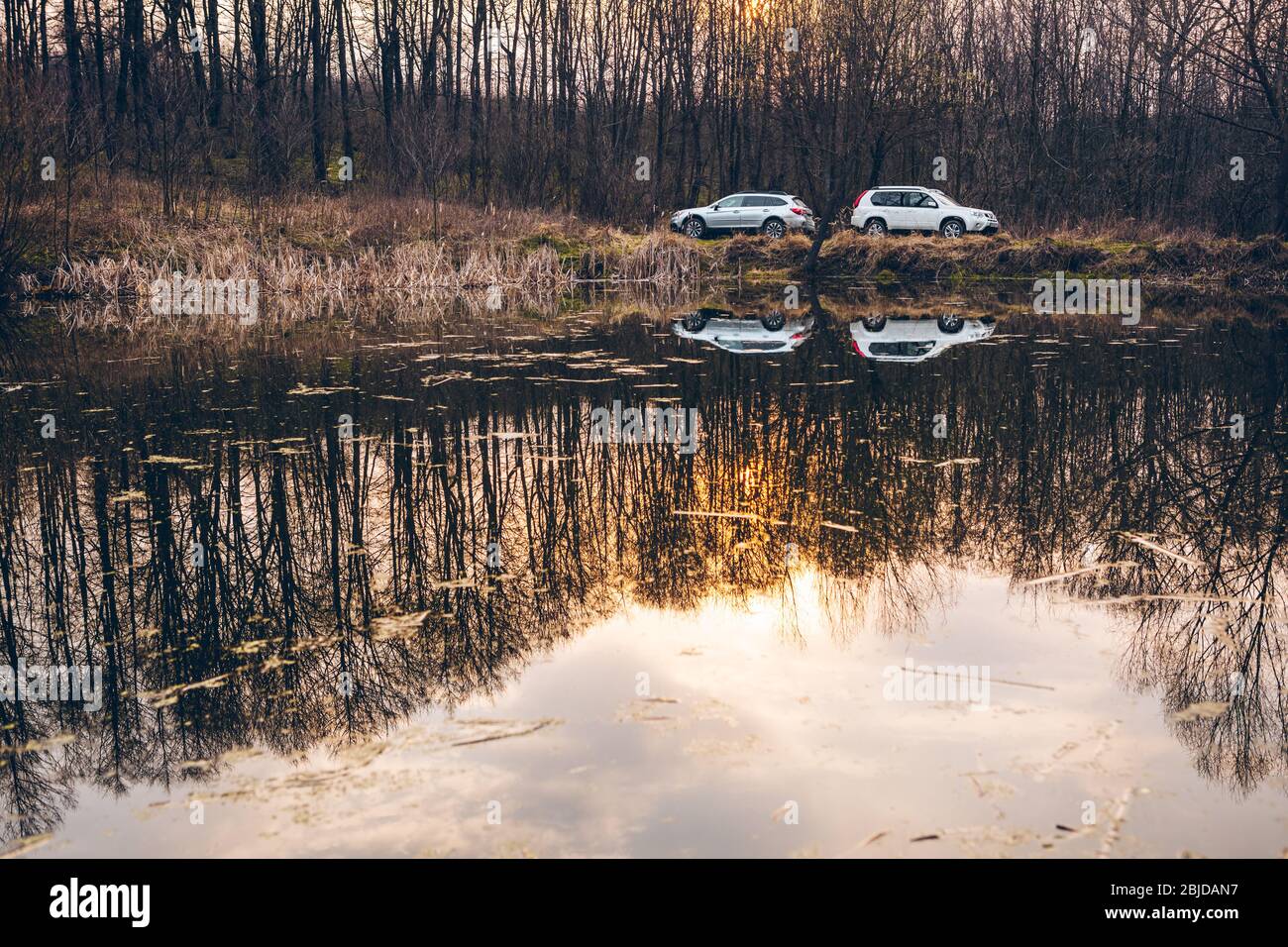 two suv car in forest. foot path Stock Photo - Alamy