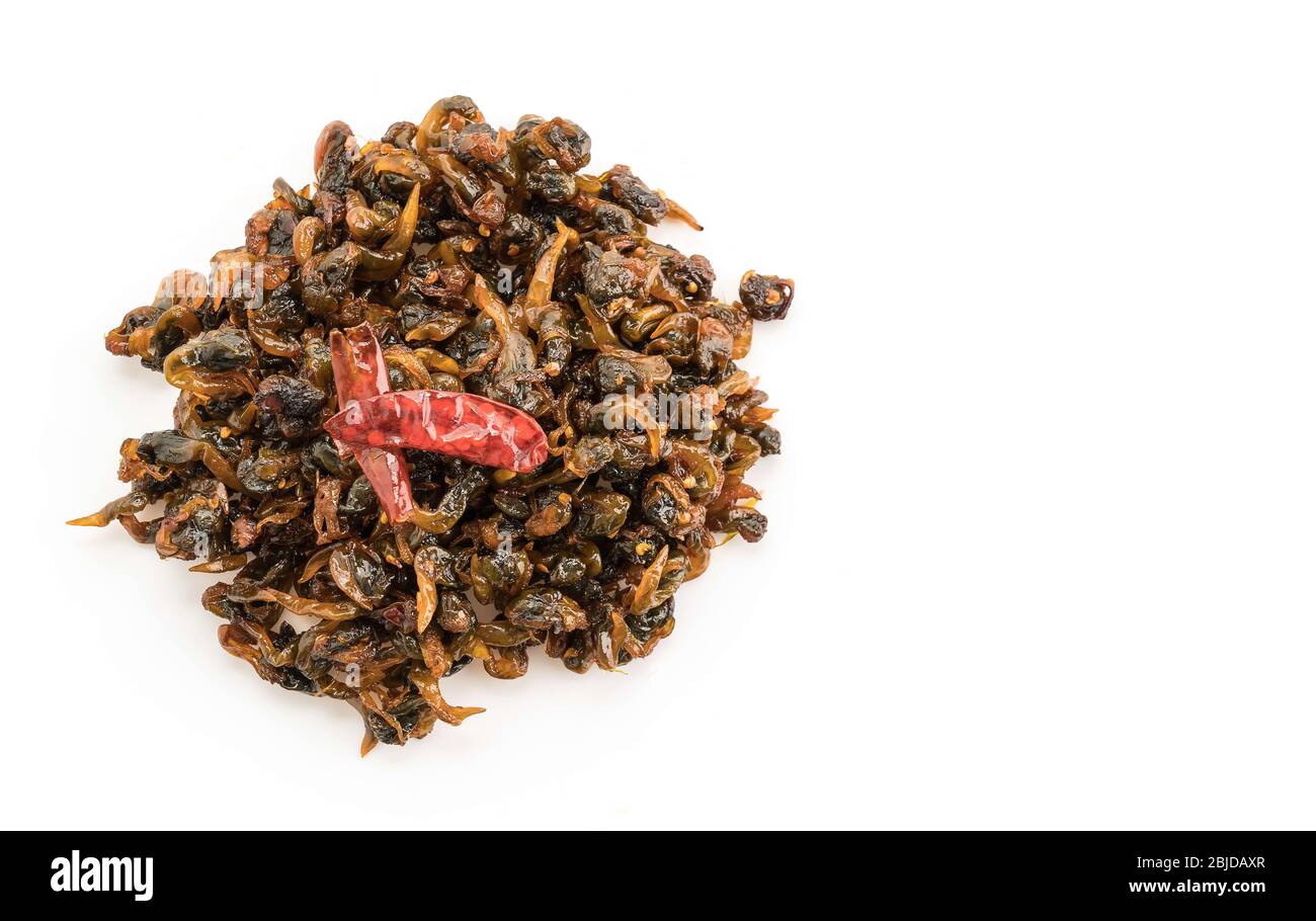 Razor shell white background hi-res stock photography and images - Alamy