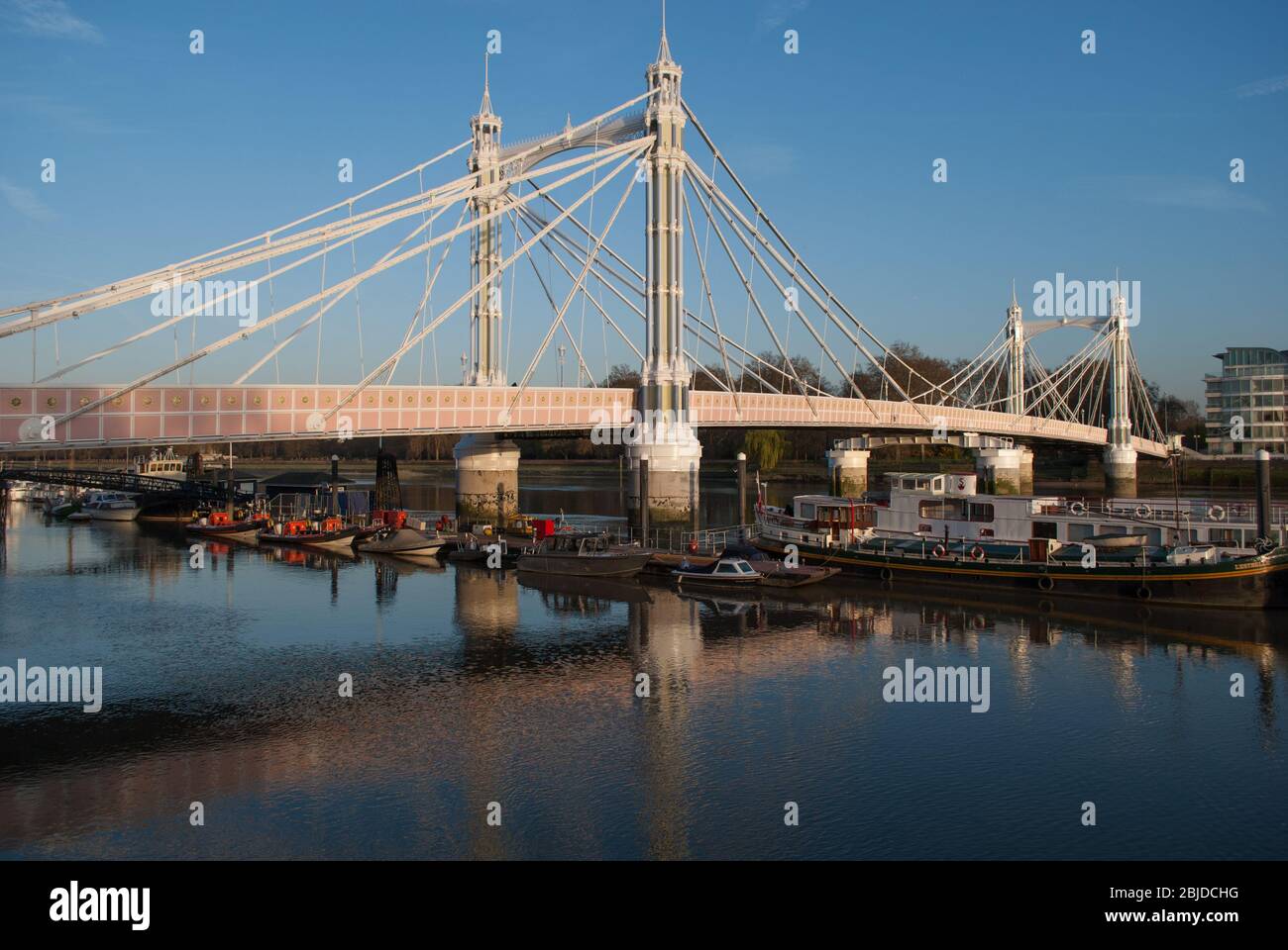 Suspension Bridge Structure Architecture Traditional Albert Bridge ...