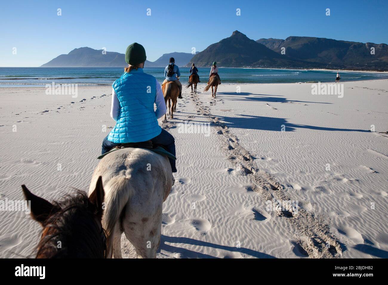 Horse riding on long beach, Cape Town, South Africa Stock Photo - Alamy