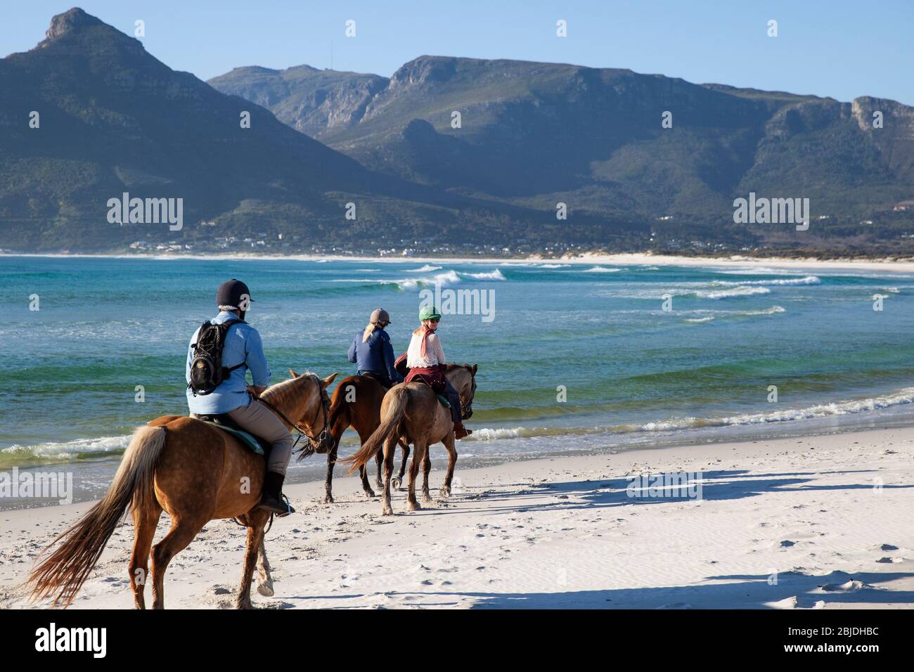 Horse riding on long beach, Cape Town, South Africa Stock Photo - Alamy