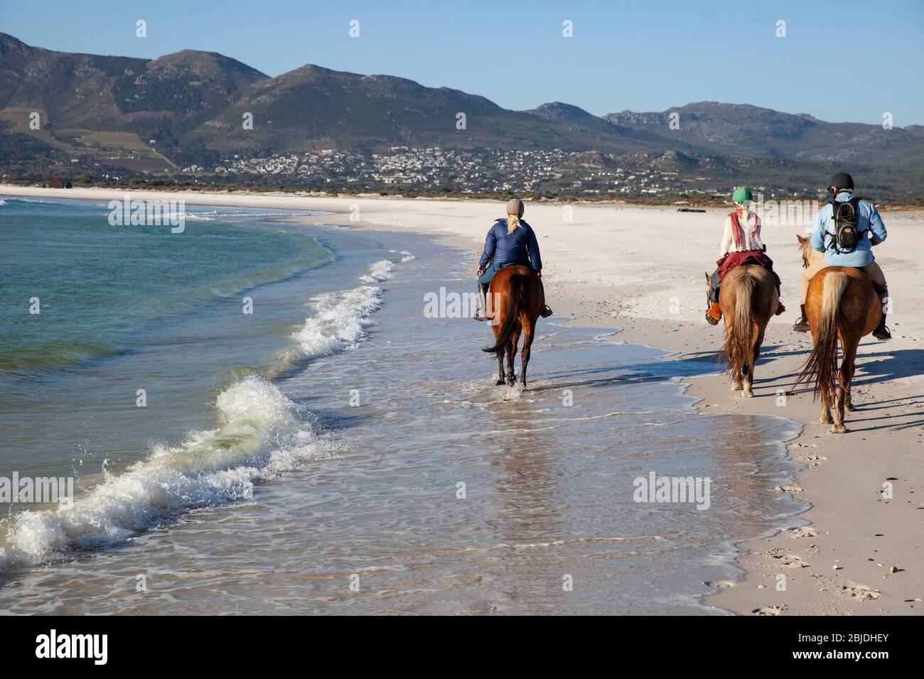 Horse riding on long beach, Cape Town, South Africa Stock Photo - Alamy