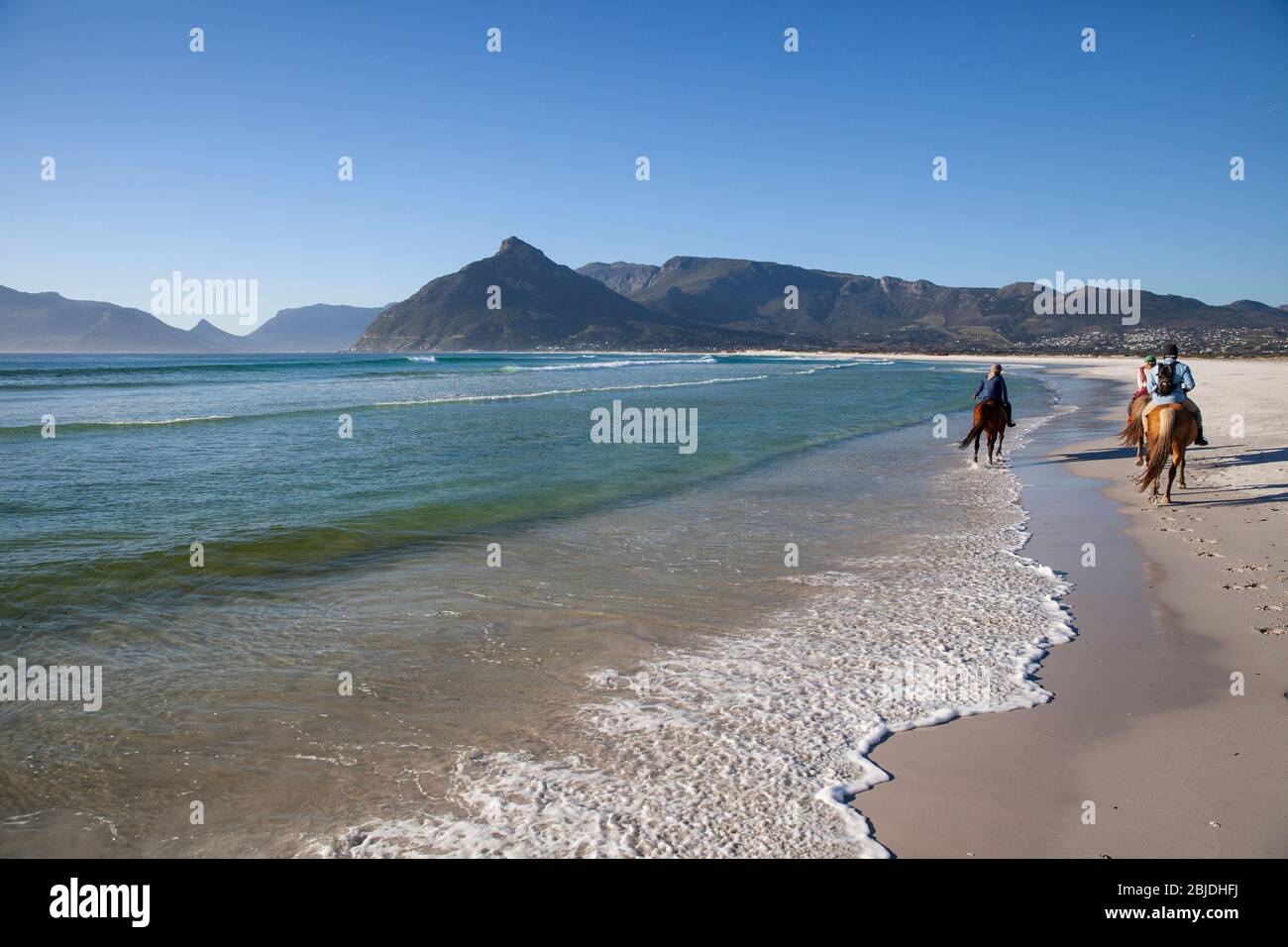 Horse riding on long beach, Cape Town, South Africa Stock Photo - Alamy