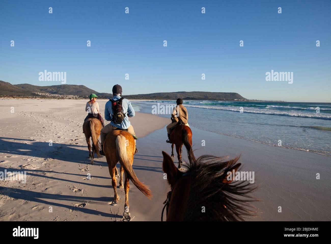 Horse riding on long beach, Cape Town, South Africa Stock Photo - Alamy