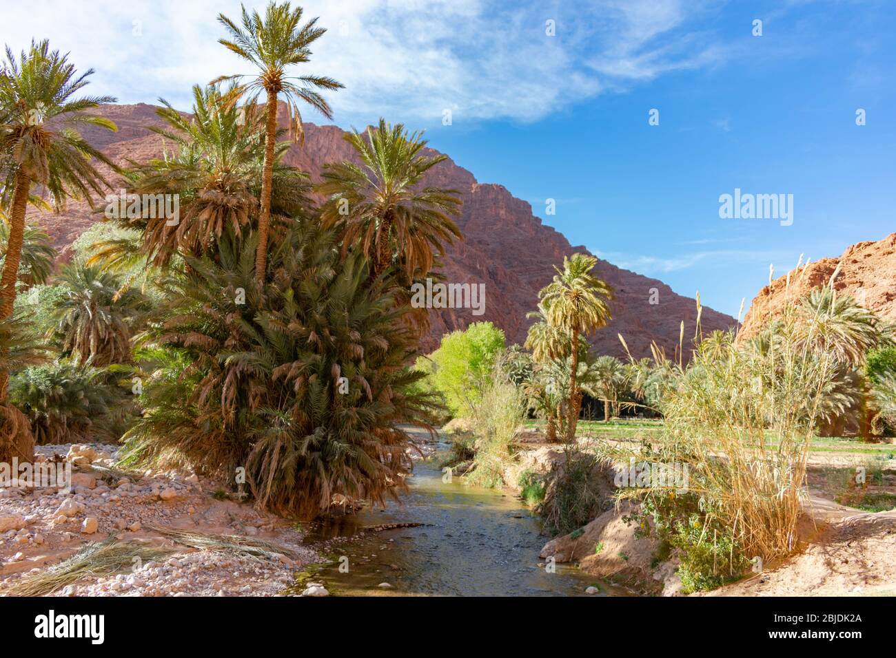 No people stream trees tourism hi-res stock photography and images - Alamy
