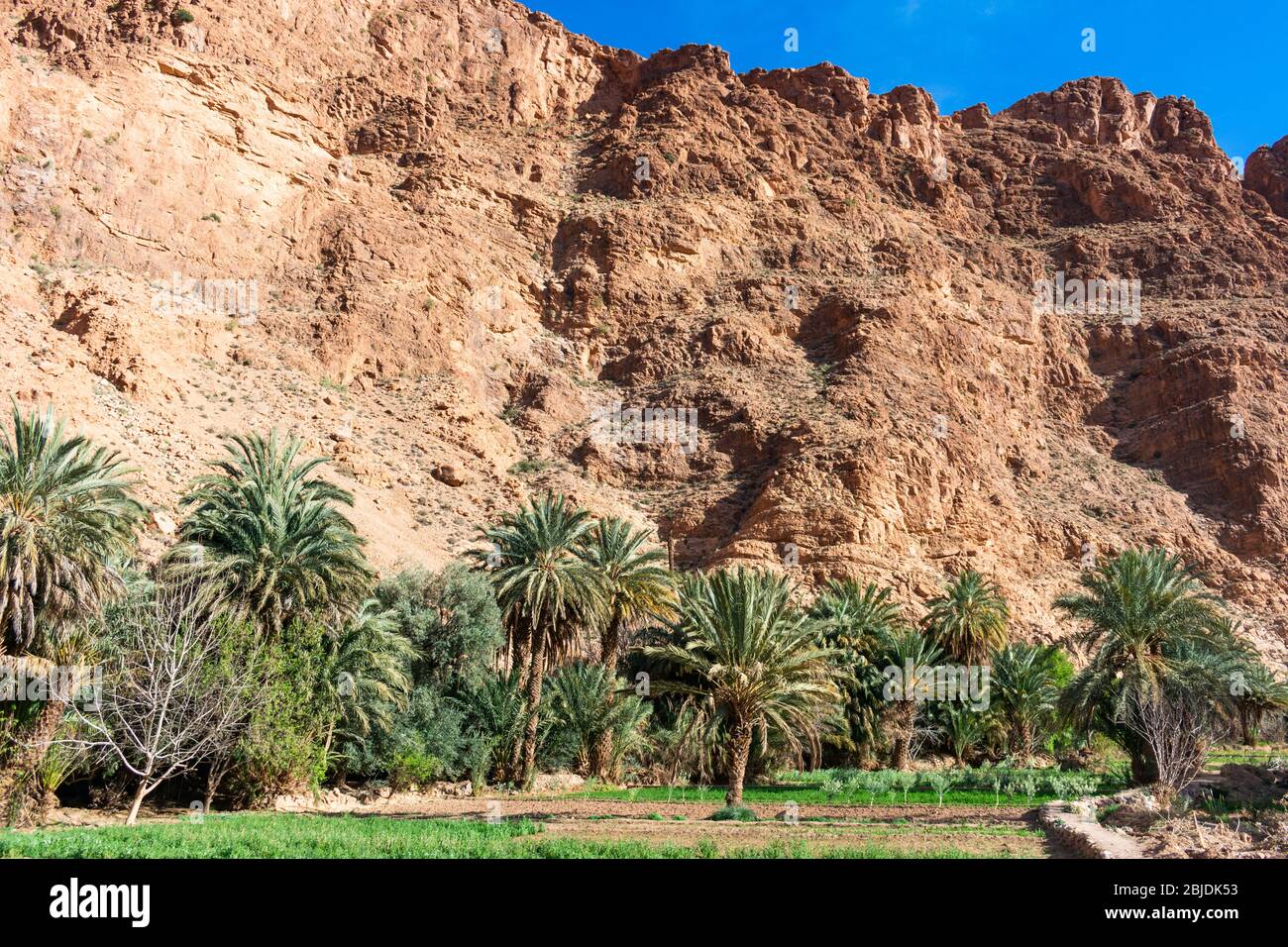 Todra gorge morocco hi-res stock photography and images - Alamy