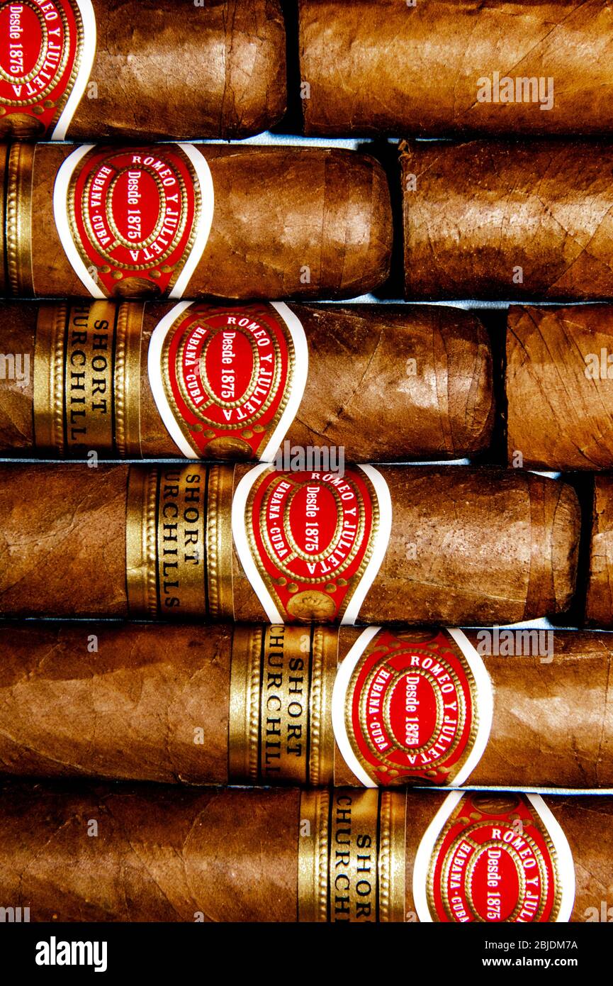 Cigars: Cuban Cigars. Romeo y Julieta and Hoyo de Monterrey. Hand ...