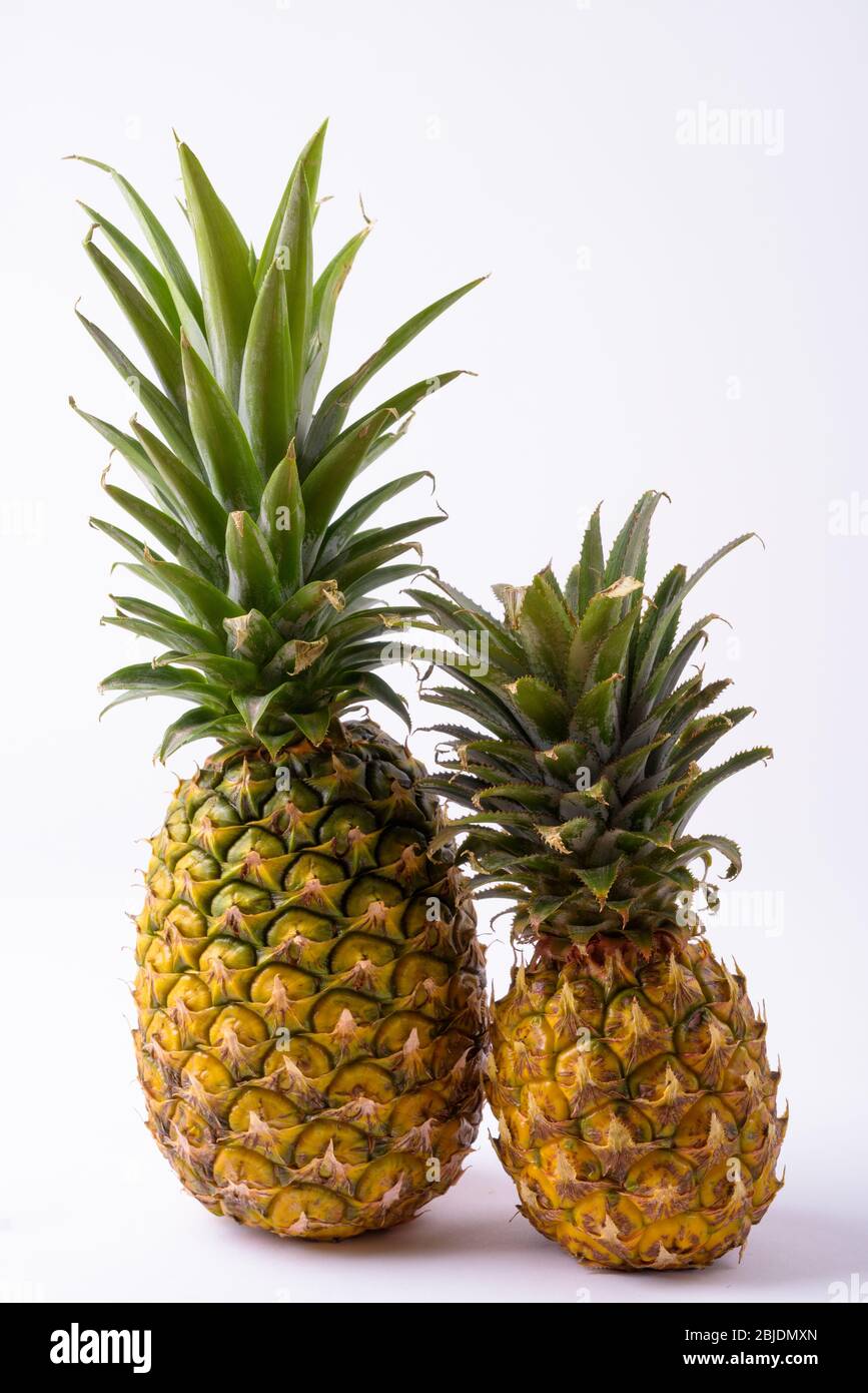 Portrait Of Two Ripe Pineapples Against White Background Stock Photo ...