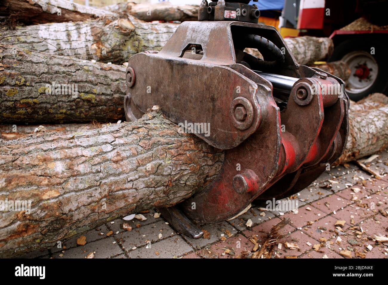 Grip with tree trunk Stock Photo - Alamy