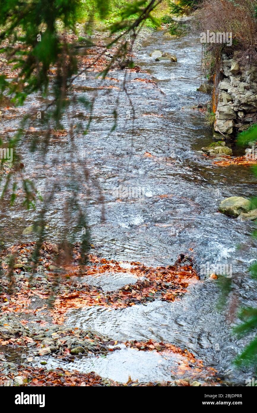 Mountain stream with rocks in forest Stock Photo - Alamy
