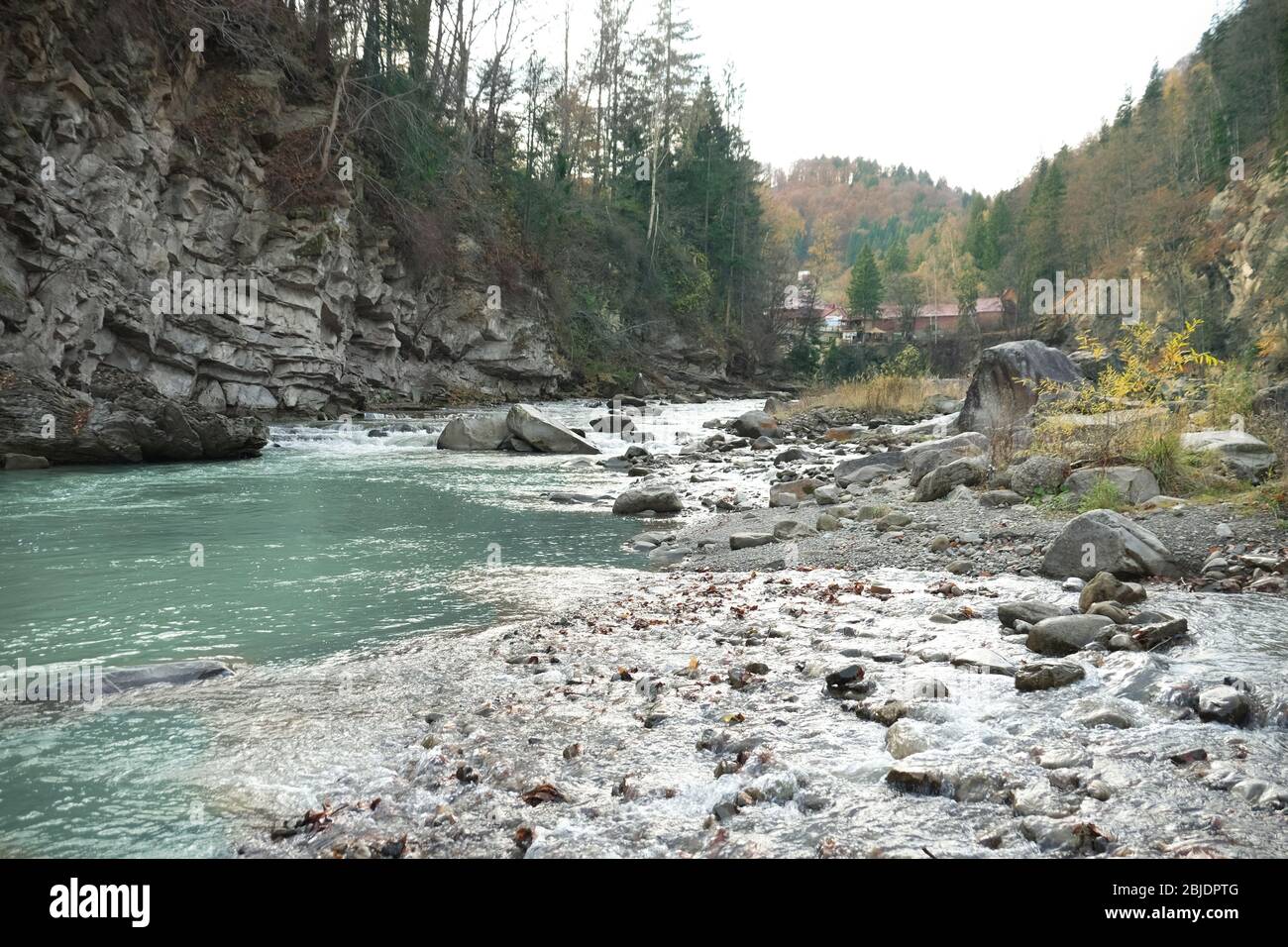 Carpathian ecosystem hi-res stock photography and images - Alamy