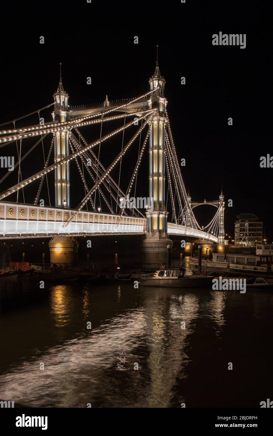 Suspension Bridge Structure Architecture Traditional Albert Bridge ...