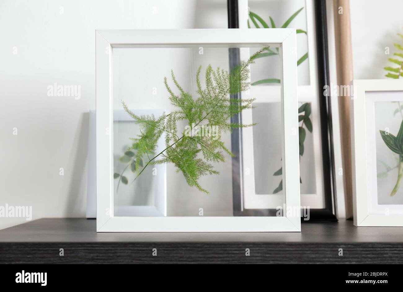 Frames by leaves hi-res stock photography and images - Alamy