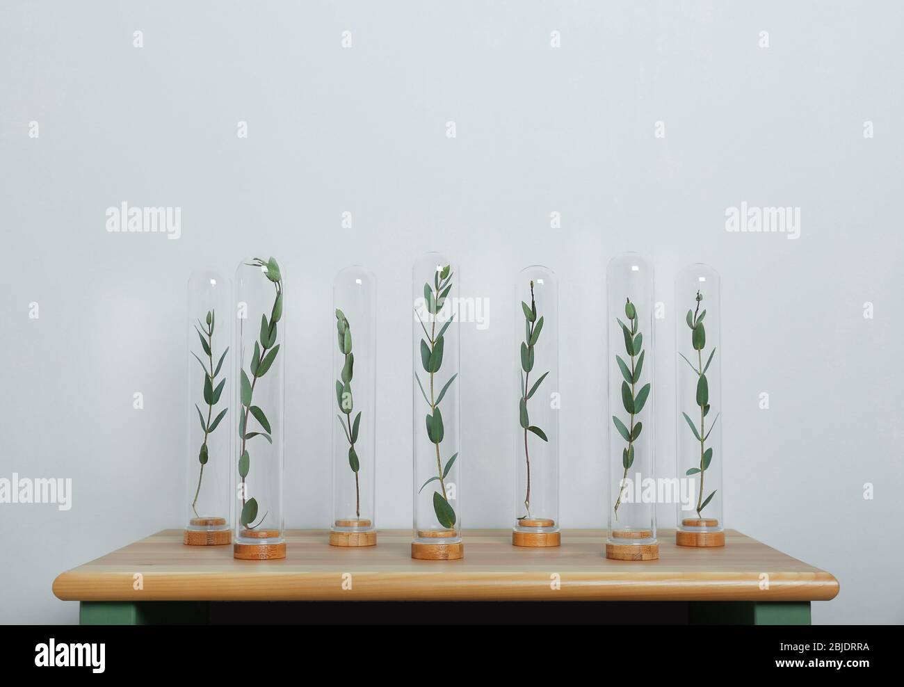 Various flasks on table hi-res stock photography and images - Alamy
