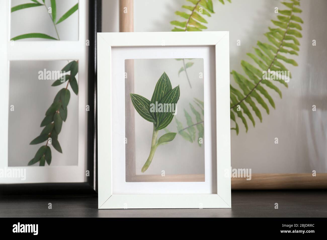 Frames by leaves hi-res stock photography and images - Alamy