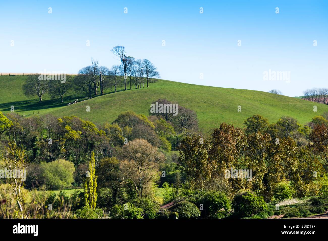 Spring comes to the hills overlooking the Otter Valley Stock Photo - Alamy