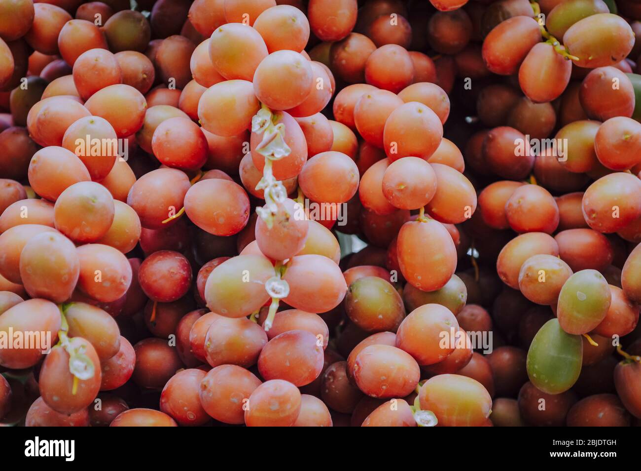 Fresh dates on the tree of Saudi Arabian desert Stock Photo - Alamy