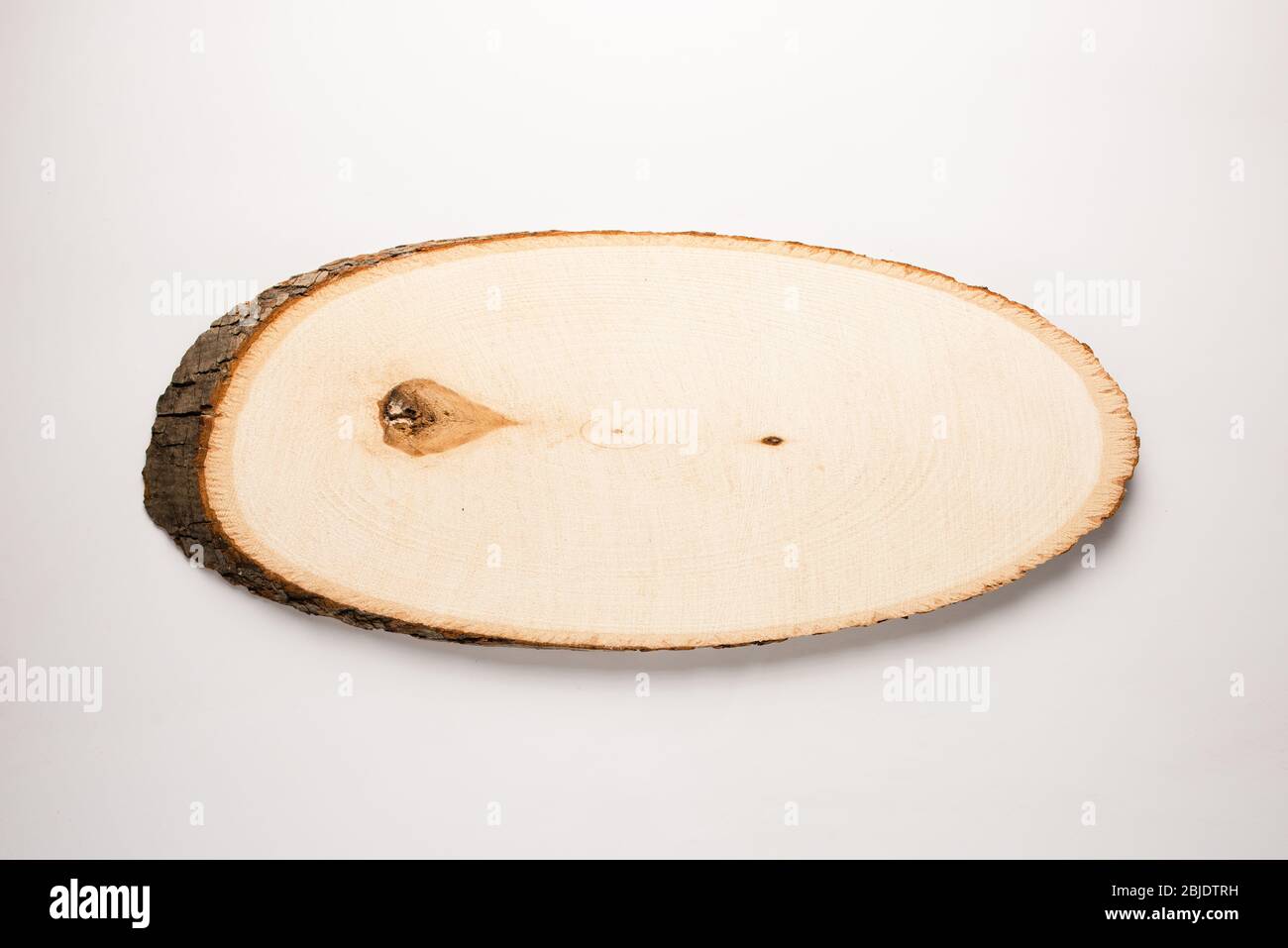 Raw cut of a tree on a white background Stock Photo - Alamy