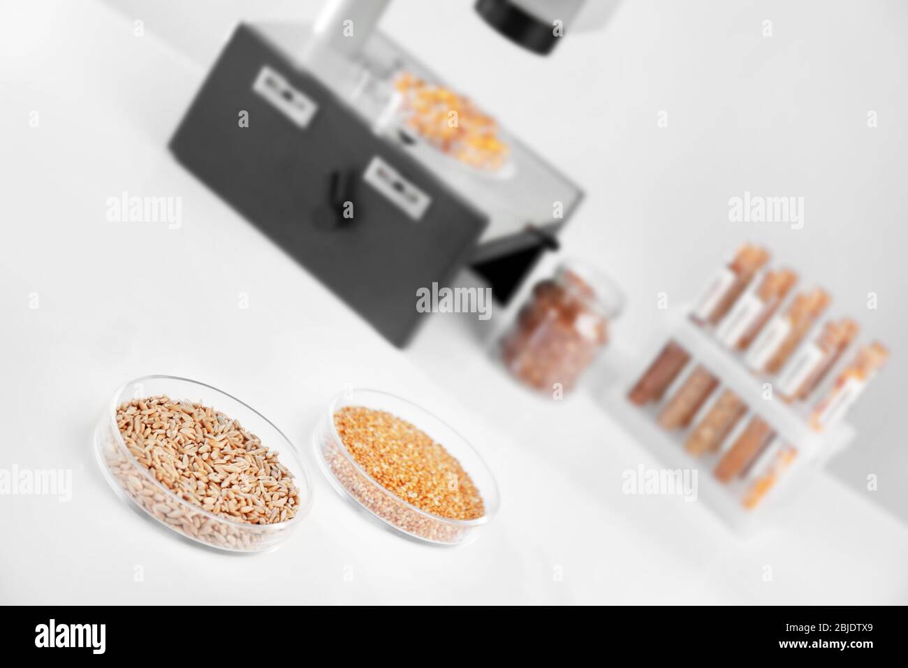 Food laboratory. Test for pesticides in seeds of agricultural plants ...