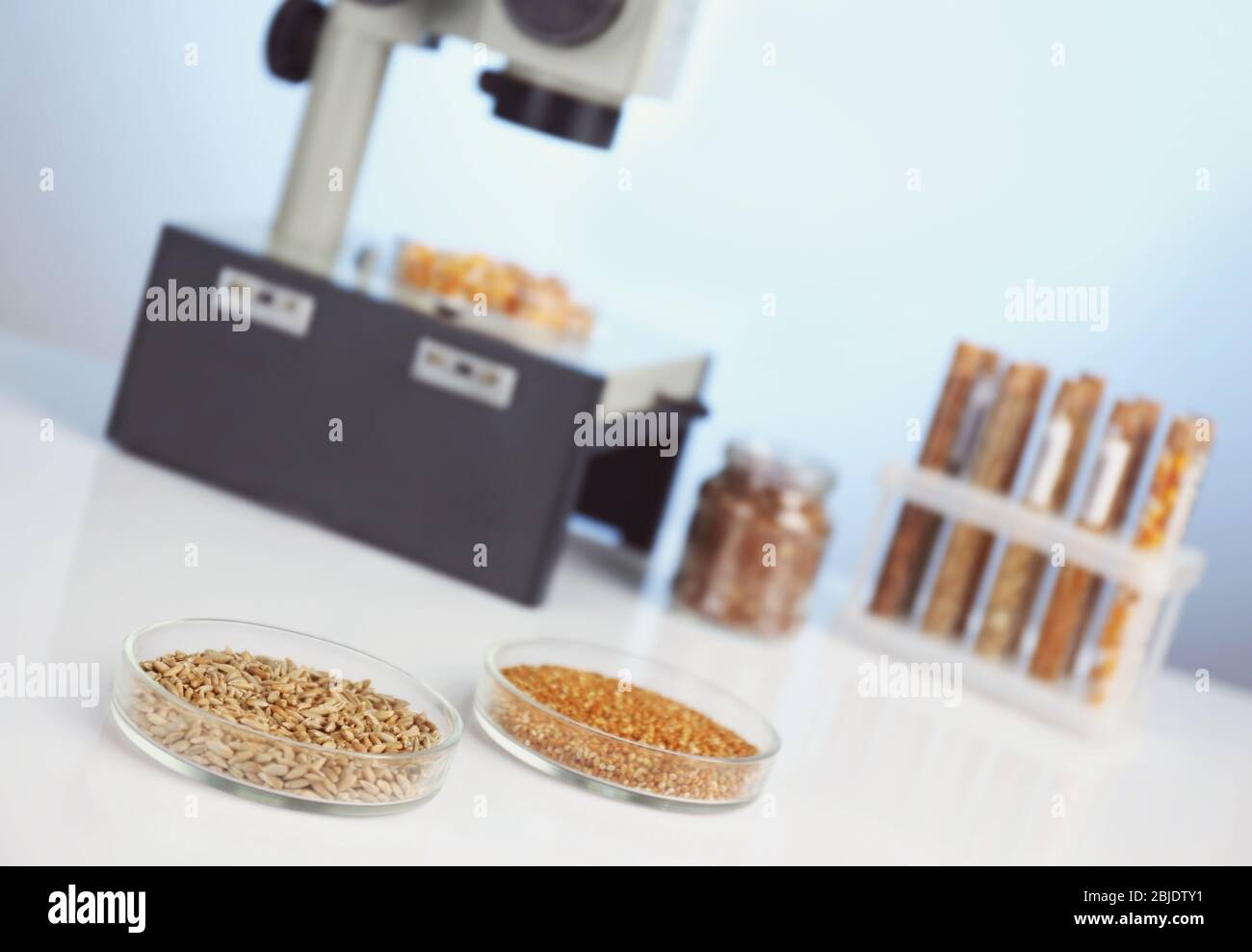 Food laboratory. Test for pesticides in seeds of agricultural plants ...