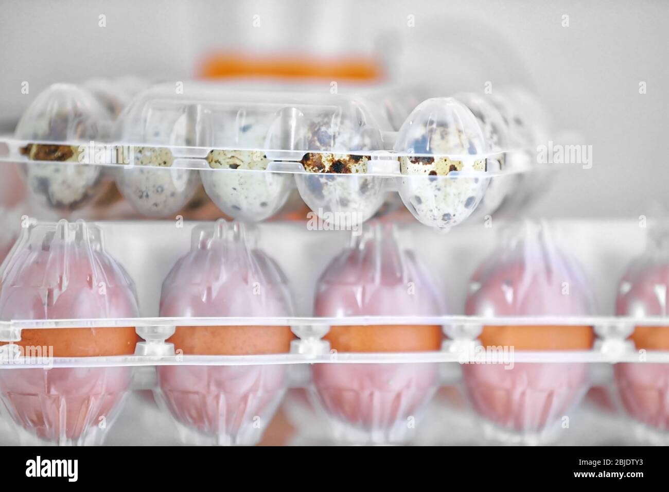 Closeup of plastic cases with chicken and quail eggs in refrigerator ...