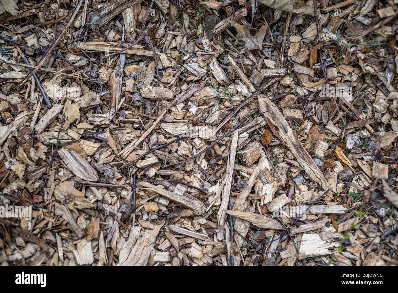 Closeup of wood rough mulch Stock Photo - Alamy