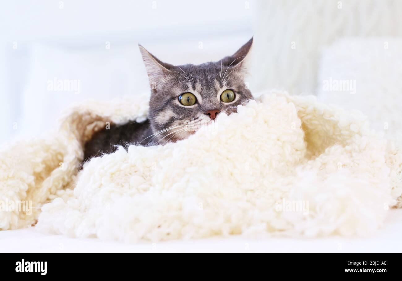 Soft cushions plaid on hi-res stock photography and images - Alamy