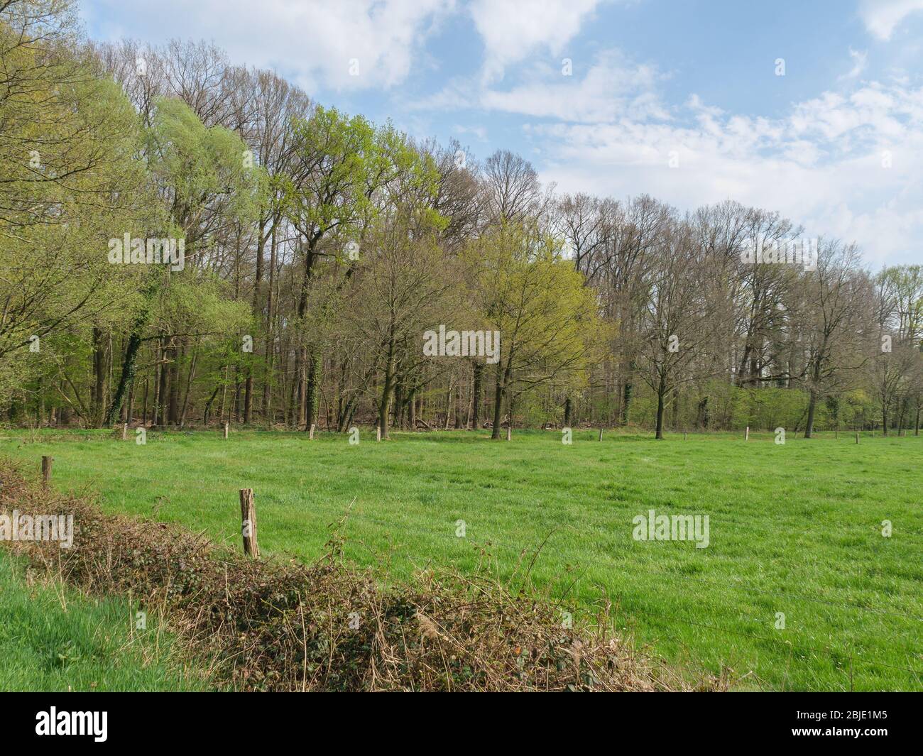 spring time in germany Stock Photo - Alamy
