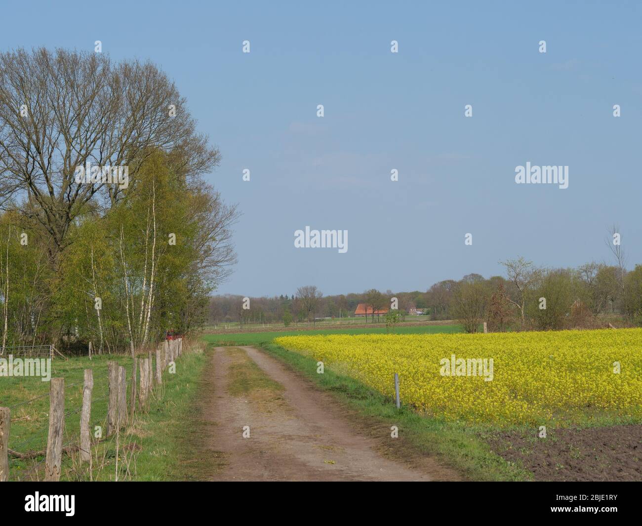 spring time in germany Stock Photo - Alamy