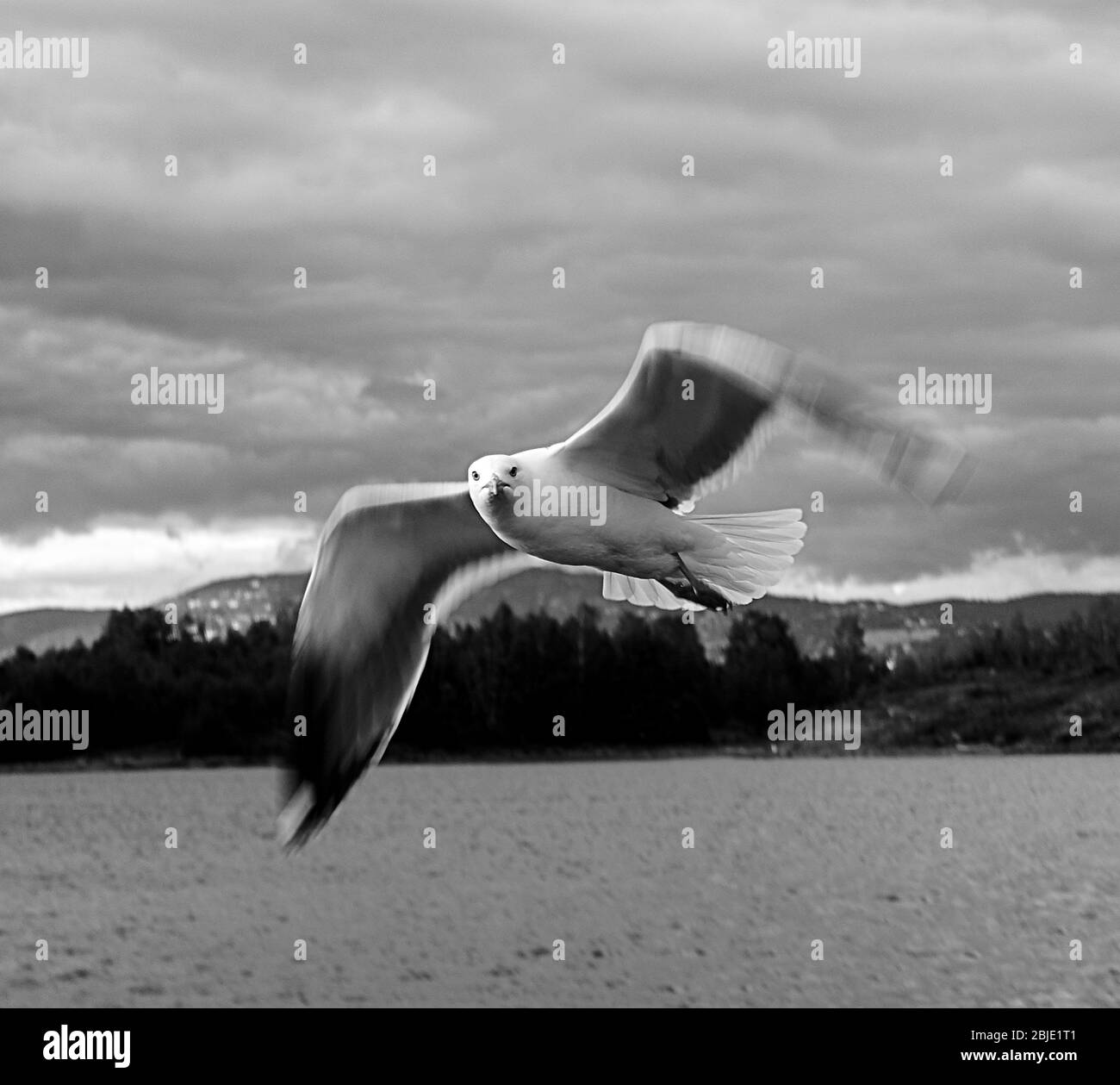 I want a photo too Stock Photo - Alamy