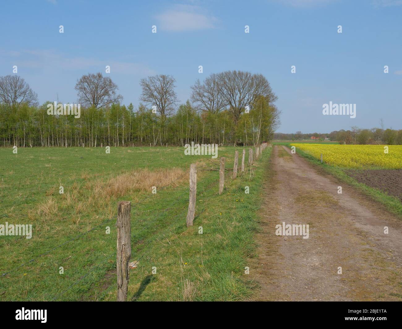 spring time in germany Stock Photo - Alamy