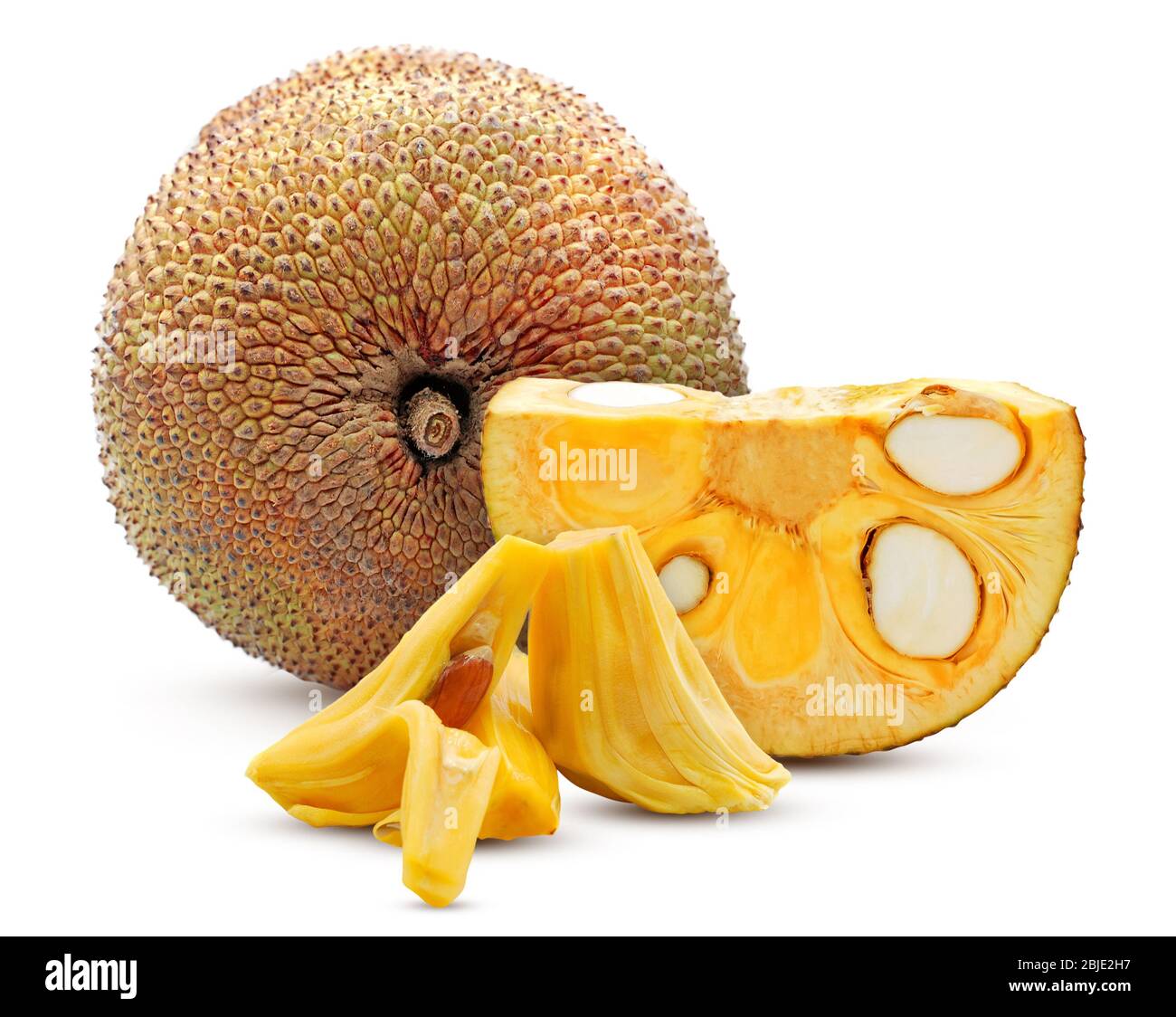 Single object of Jackfruit isolated on white background Stock Photo - Alamy